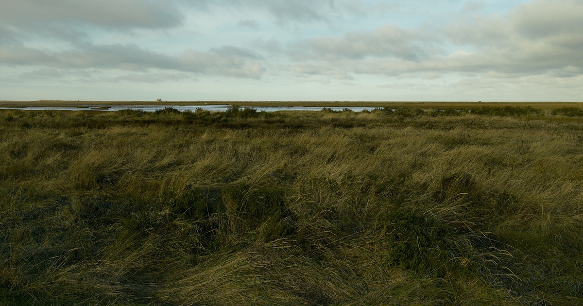 John Riddy & Ben Luke | Frith Street Gallery