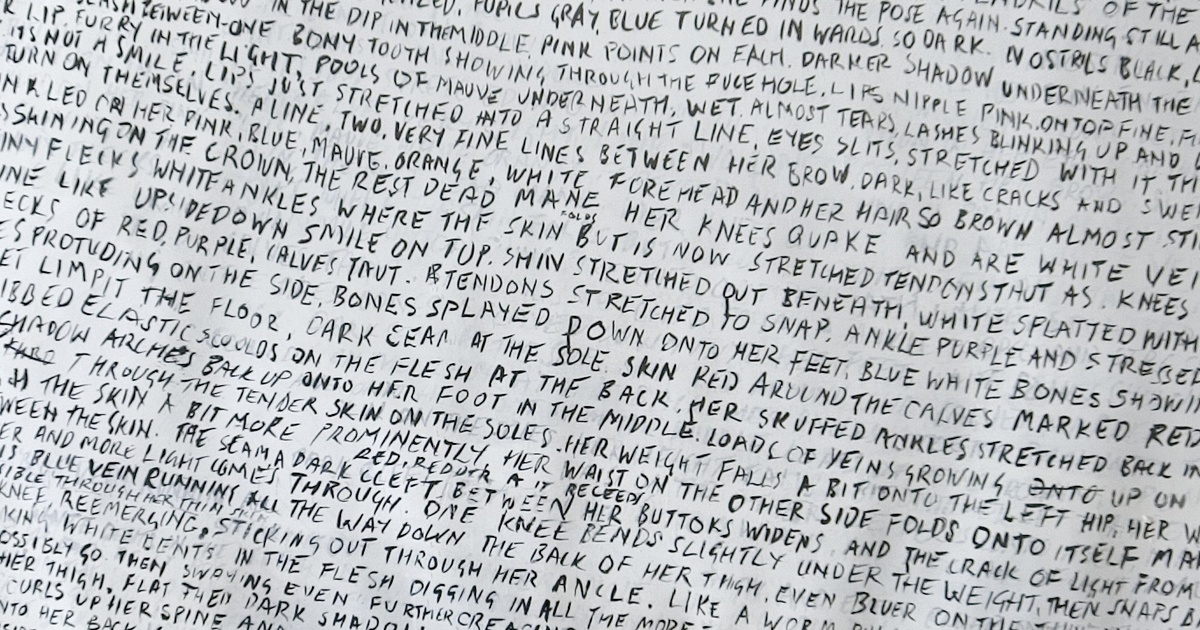 Fiona Banner aka The Vanity Press | Frith Street Gallery
