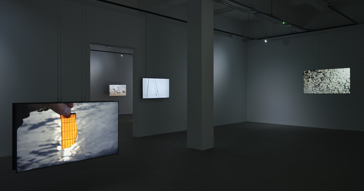 Jaki Irvine & Locky Morris | Frith Street Gallery